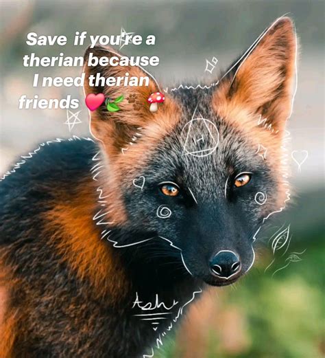 Best 12 Therian Art For You Guys Artofit