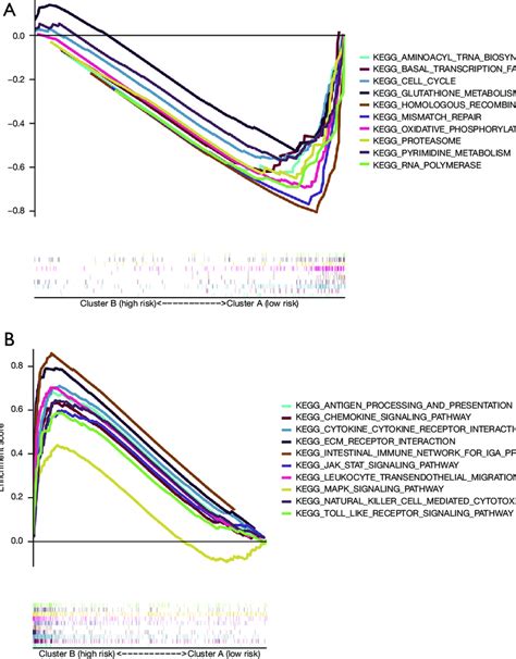 Signaling Pathways Enriched In The 2 Clusters A Cluster A B