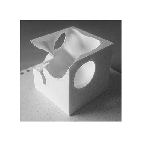 3d Printed Model From Rhino Grasshopper Program Fluid Subtraction