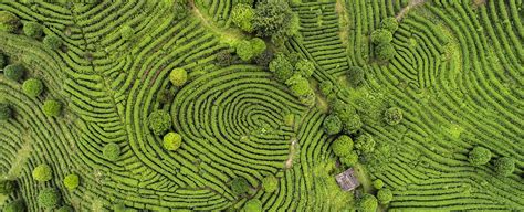 Nieuw Magic Quadrant Cloud Erp For Service Centric Enterprises