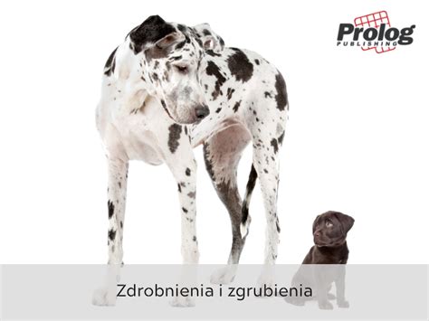Prolog Publishing Prolog Publishing