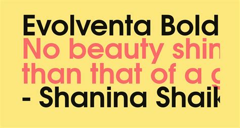 Evolventa Bold Free Font What Font Is