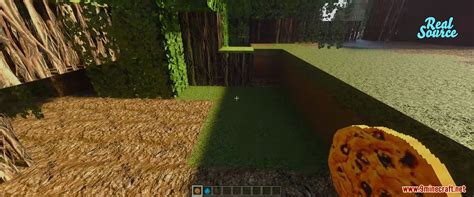 RealSource Realistic RTX Texture Pack For MCPE Bedrock Edition Mc Mod Net