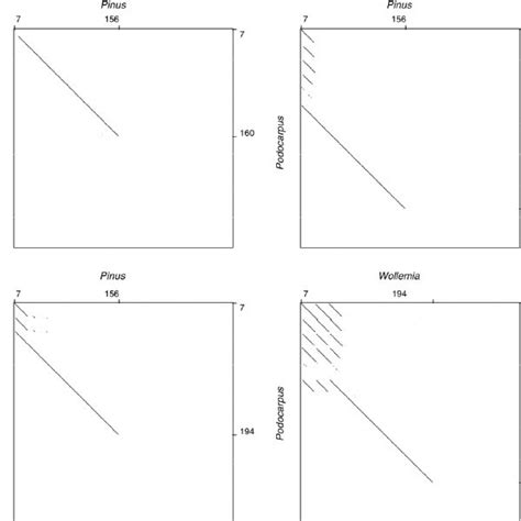 Dot Plot Showing The Pairwise Similarity Of Complete Translated