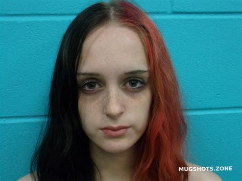 Alexis Bailey 11 04 2024 Nolan County Mugshots Zone