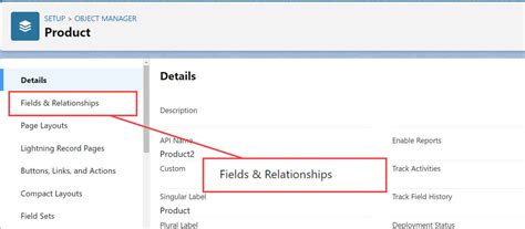 Salesforce Rich Text Field