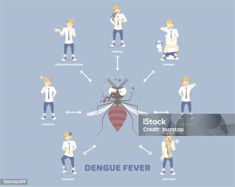 뎅기열 증상 의사와 예방 모기 설사 두통 구토 근육 통 건강 관리 인포그래픽 개념 흰줄숲모기에 대한 스톡 벡터 아트 및 기타 이미지 Istock