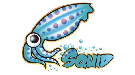 How To Configure Squid Proxy On Ubuntu