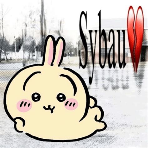 Usagi Meme Usagi Discover And Share S