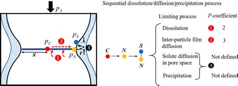 Diagram Showing I The Most Likely Diffusion Pathways And Pressure Download Scientific