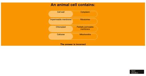 Busy Violet Rjsmx3 Codesandbox Busy Violet Rjsmx3 Codesandbox