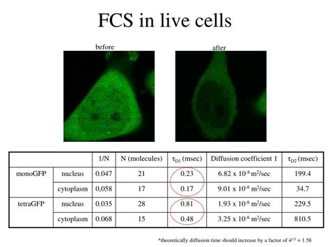 Ppt Fluorescence Correlation Spectroscopy Fcs Powerpoint
