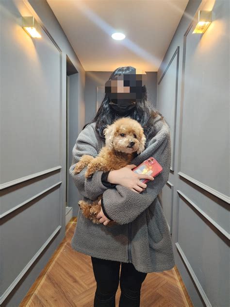 푸들 똘똘이 도베르만분양가 강아지임시보호 포메라니안무료분양 먼치킨고양이분양 부산강아지파양 시추 렉돌고양이 광주고양이분양 빅토리아펫보호소 입양완료