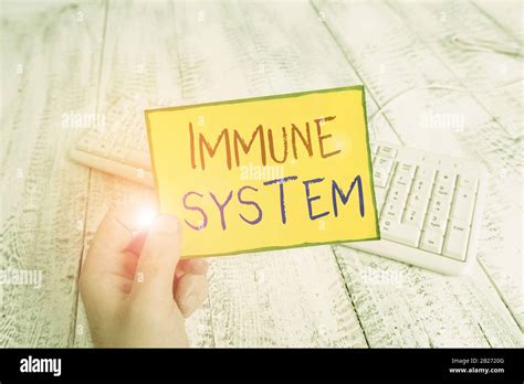 Handwriting Text Immune System Conceptual Photo Host Defense System