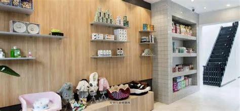 最新宠物店的口号