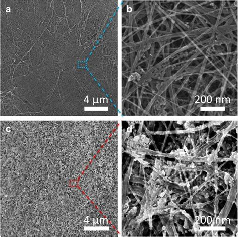 6 Microstructure Of Tio2 Coated Mwnt Mat Prepared By Ald Sem