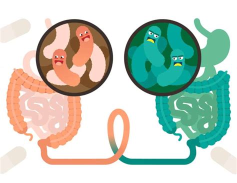 Poop Save Lives The Growing Demand For Stool Donors Smore Science