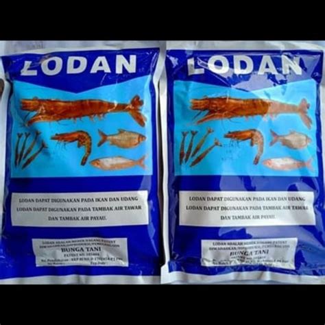 Jual Lodan 500gram Shopee Indonesia