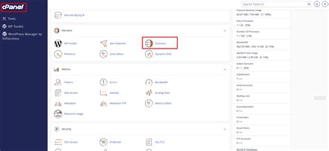 Custom Domain Setup Addon Deskzai Documentation