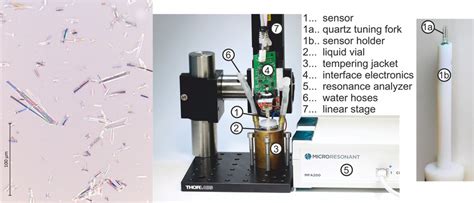 A Polarized Light Image Of Msu Crystals Growing Procedure Strictly Download Scientific