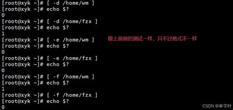 shell编程之条件语句 csdn博客