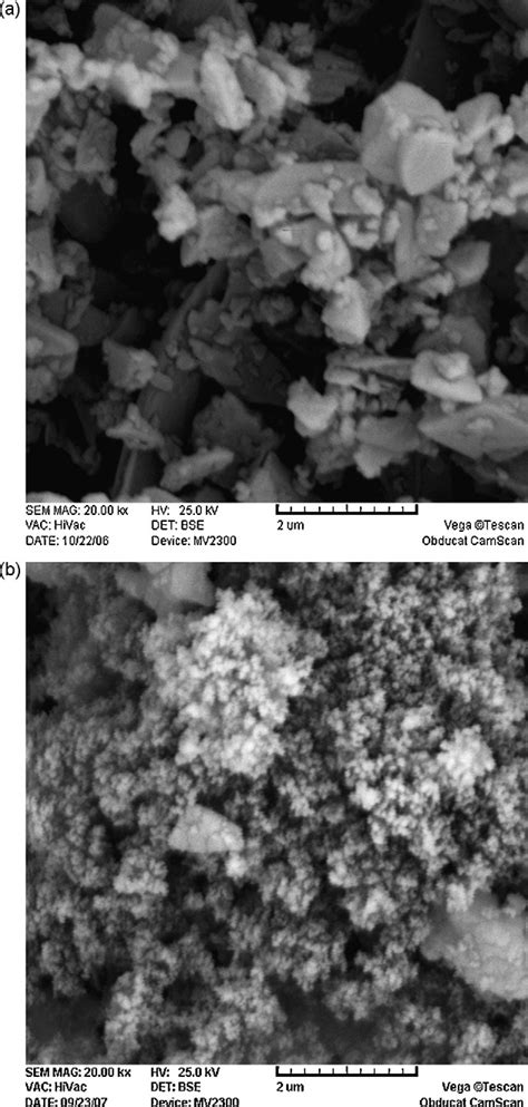 Sem Micrographs Of B4c Particles A As Received And B After 110 H