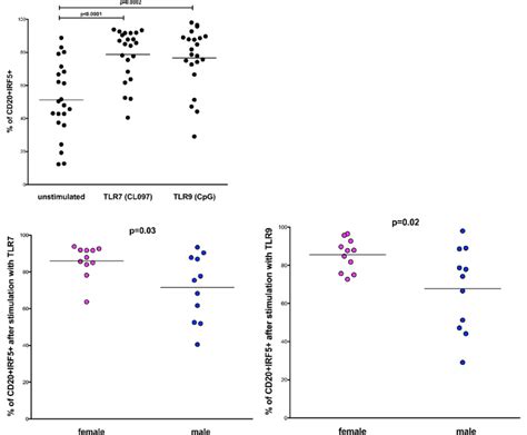 Sex Differences In The Percentage Of Irf5 Positive B Cells Ex Vivo