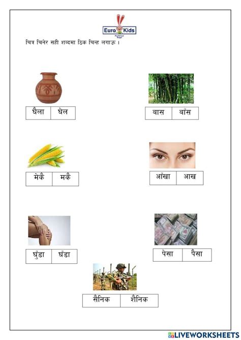 Nepali Exercise Live Worksheets