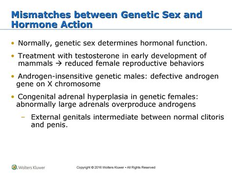 Chapter Sex And The Brain Ppt Download