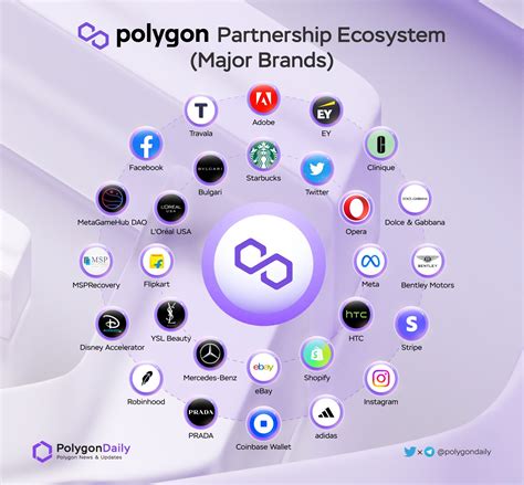 Polygon Daily On Twitter 0xPolygon BNBCHAIN Ethereum Solana Avalancheavax MMFcrypto