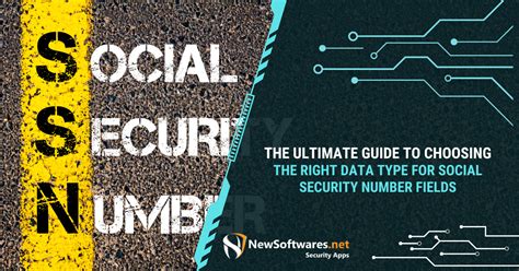 The Ultimate Guide To Choosing The Right Data Type For Social Security Number Fields