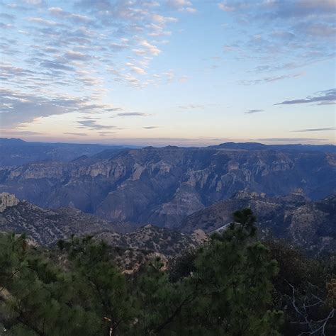 Huapango Travels 멕시코시티 Huapango Travels의 리뷰 트립어드바이저