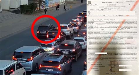 Амьдрал ТЦА Өчигдөр буюу 2025 оны 05 дугаар сарын 29 ний өдөр Сүхбаатар дүүргийн нутаг Соёлын