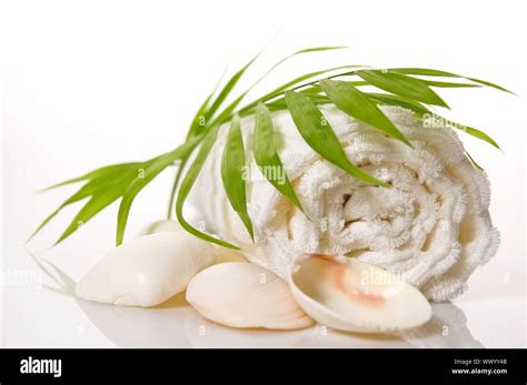 Summer Bath Scene Towel Shell Leaf Isolated On The White Background