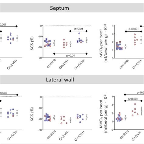 Cardiac Efficiency Regional Contractility And Oxygen Consumption Download Scientific Diagram