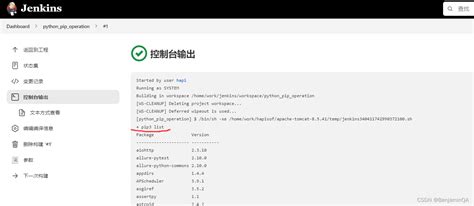 Centos 环境 Python Pip包管理 多环境下pip包统一管理 Jenkins参数化执行shell命令 Linux环境pip包管理 Jenkins管理pip管理centos Pip