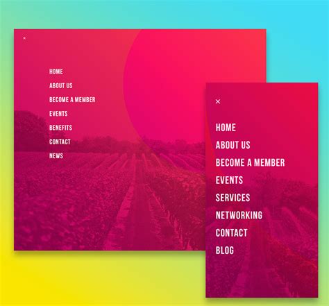 Los Mejores Módulos Drupal Para Tu Web Responsive Wildwildwebes