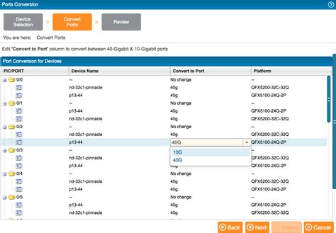Expert Advice Channelizing Ports For Network Switches By Using Network Director