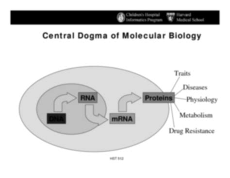SOLUTION Genomic Medicine Lec Machine Learning Approach Studypool