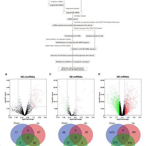 Differential Expression Analysis And Prediction Of Potential Download Scientific Diagram