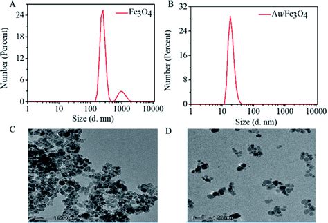 Sensitive Colorimetric Detection Of Ochratoxin A By A Dual Functional Aufe 3 O 4 Nanohybrid