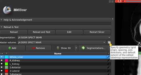 Programatically Use Specify Geometry Python Support 3d Slicer