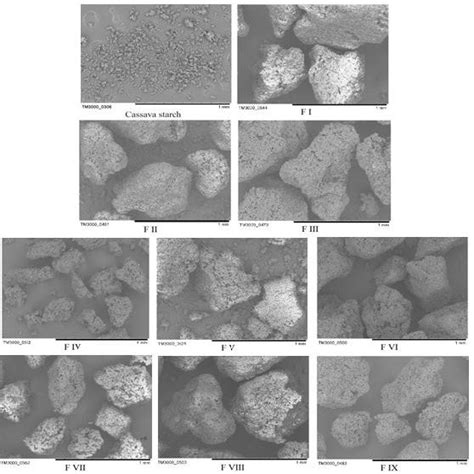 Micrographs Of Modified Cassava Starch Magnification 100x Download Scientific Diagram