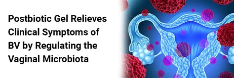 Postbiotic Gel Relieves Clinical Symptoms Of Bv By Regulating The