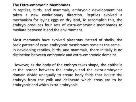 Extra Embryonic Membranes Amniotes Pptx
