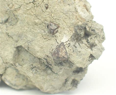 Rare Hauerite Crystal Small Mineral From Jeziórko Mine Poland Etsy