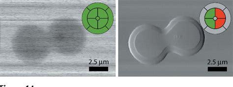 Figure 1 From Differential Phase Contrast With A Segmented Detector In A Scanning X Ray