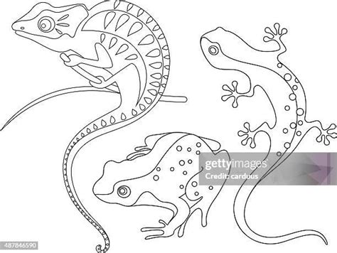 Reptiles Clipart Black And White Black Iguana Over 6537