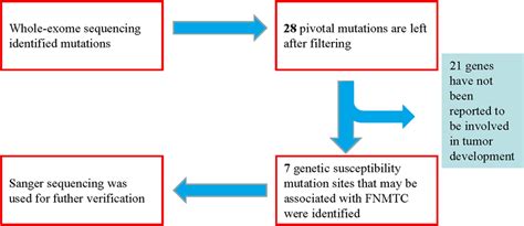 Flow Chart For Mutation Screening In Total 28 Pivotal Genes With