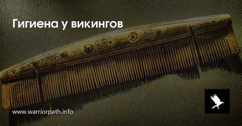 Гигиена у викингов